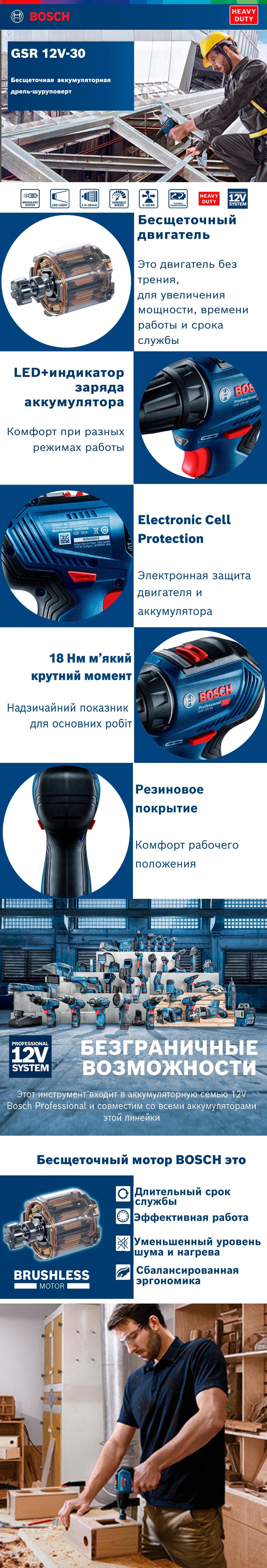 ᐉ Шуруповерт аккумуляторный Bosch Professional GSR 12V-30 06019G9000 ...